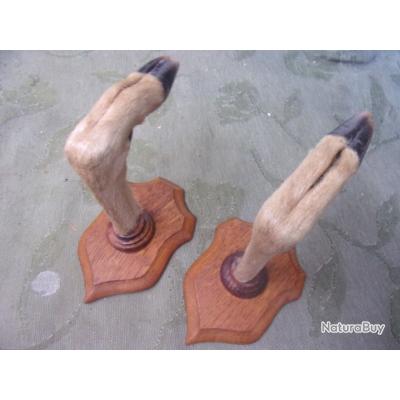 Porte-fusil ratelier hauteur 13,5 cm une arme - Rateliers et porte ...