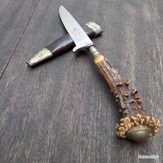 Joli Couteau de Chasse NICKER REHWAPPEN SOLINGEN Manche en Bois de ...