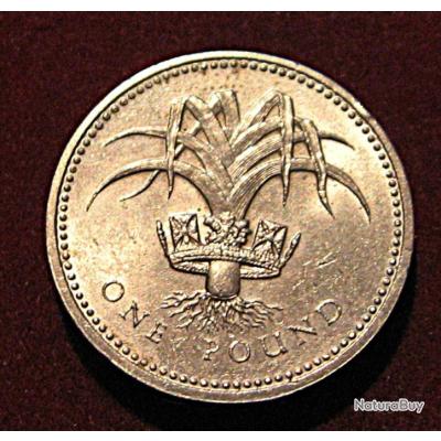 Ahgleterre piece de one pound 1985 ttb Elizabeth II - Monnaies (12777853)