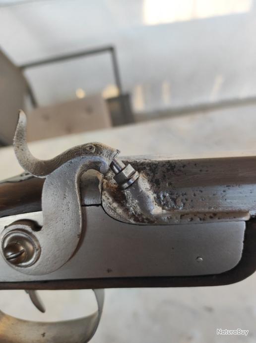 Fusil monocoup - Fusils à percussion (12797797)