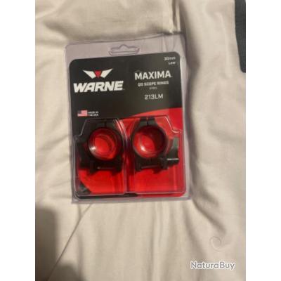 Maxima Warne 213 lm - Colliers pour montage fixe (12854013)