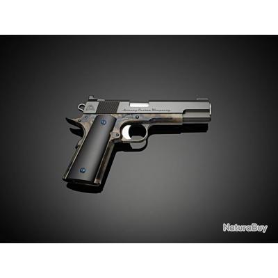 Pistolet 1911 Alchemy Custom Prime Color Case Hardened - Pistolets de ...