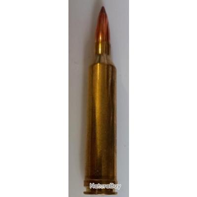 Pour collection munition cal 264 win mag - Munitions classées en ...