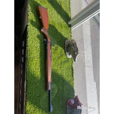 CARABINE SEMI-AUTOMATIQUE SAUER 303 cal 300 win mag - Carabines semi ...