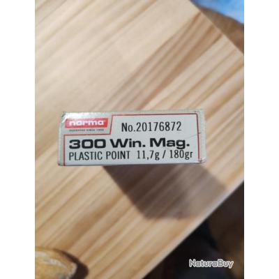 Munitions norma plastic point 300 win mag - Balles Calibre 300 Win Mag ...