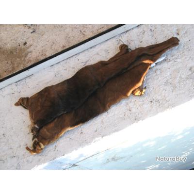 INTROUVABLE : Outre guerba saharienne en peau de chèvre - Gourdes ...