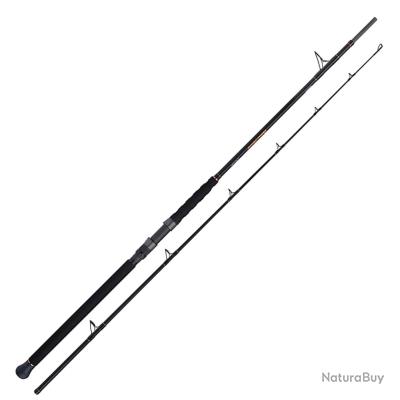 Canne Silure Shimano Beastmaster Catfish Vertical Spinning 2 Max 200g ...