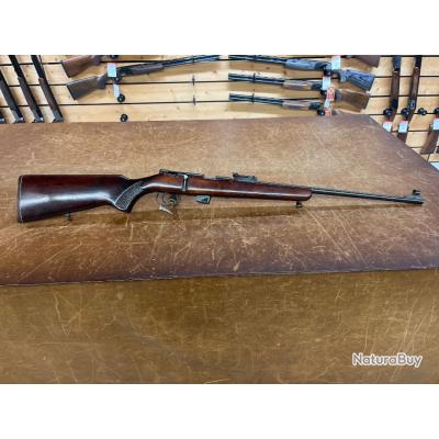 Toz 22lr mod 17-17-01 - Carabines 22LR (13067645)