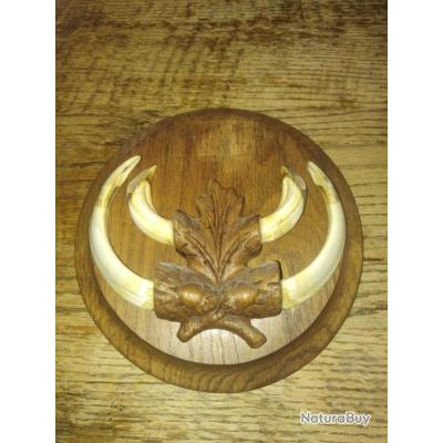 Tres beau trophée défense sanglier - Mues, cornes, défenses (13071902)