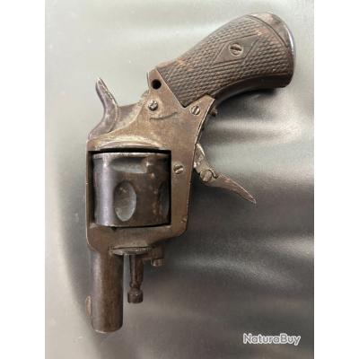 Revolver bulldog - Revolvers bulldog et velodog (13139450)