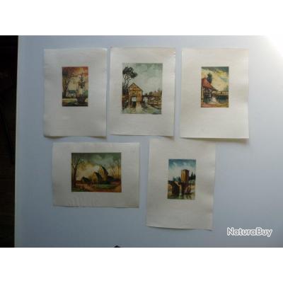 Ancienne Gravure Eau Forte Robin en Couleurs - Gravures (13321723)