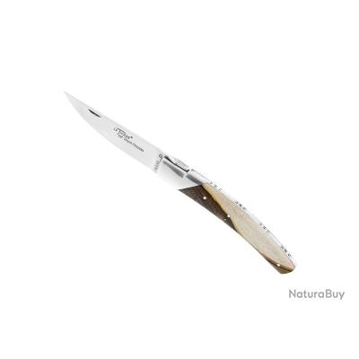 LE THIERS GOYON-CHAZEAU PIROU PISTACHIER 12CM INOX - Couteaux pliants ...