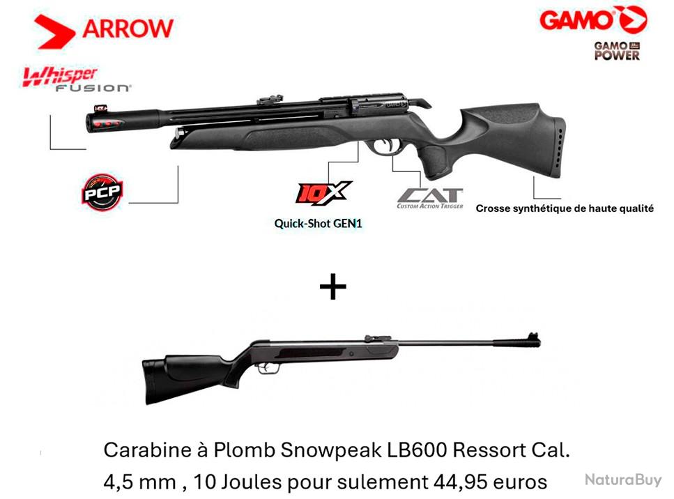 PACK COMBINÉ ! PACK1A Carabine PCP Arrow Gamo Cal. 4,5 mm + Carabine ...