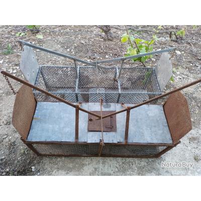 Cage piège - Pièges cages et belettières (13416462)