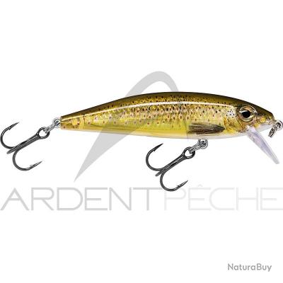 Poisson nageur RAPALA X Rap countdown 05 TRL - Leurres durs Carnassiers (13420568)