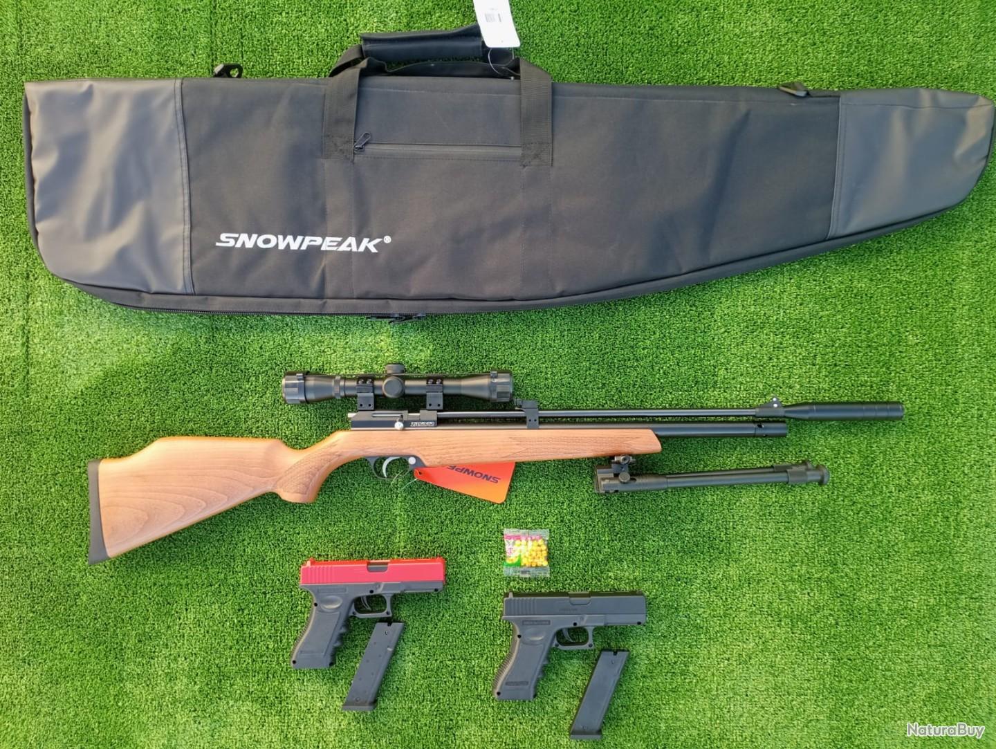 PACK CADEAU-6 ! CARABINE PCP ARTEMIS PR900 R GEN 2 CAL. 4,5 mm ...