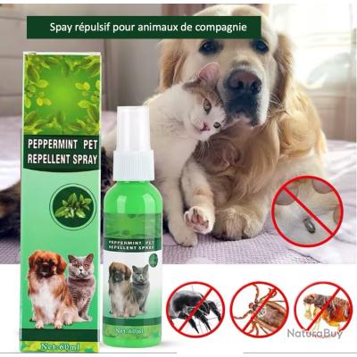 Spray anti-puces pour animaux de compagnie, anti-puces, anti-tiques ...