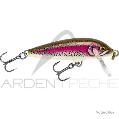 Poisson nageur RAPALA Countdown 05 ART - Leurres durs Carnassiers ...