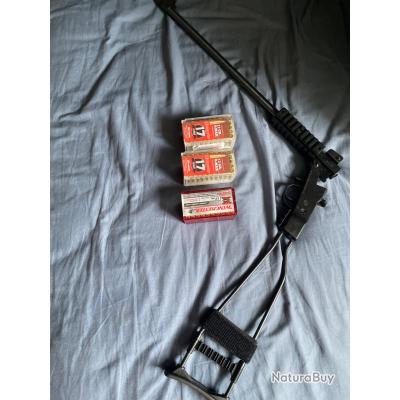 Chiappa Little badger 17hmr - Carabines 17 HMR - 22 Magnum - 22 Hornet ...