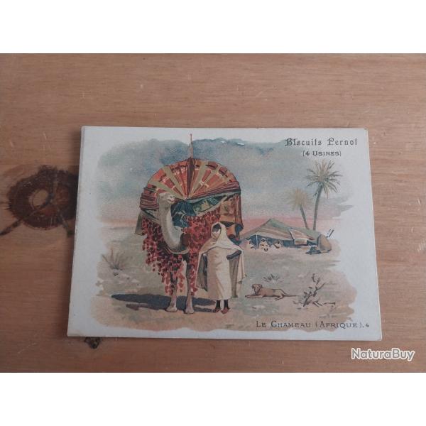 Carte Chromo biscuits pernot "Le chameau d afrique " - Objets divers ...