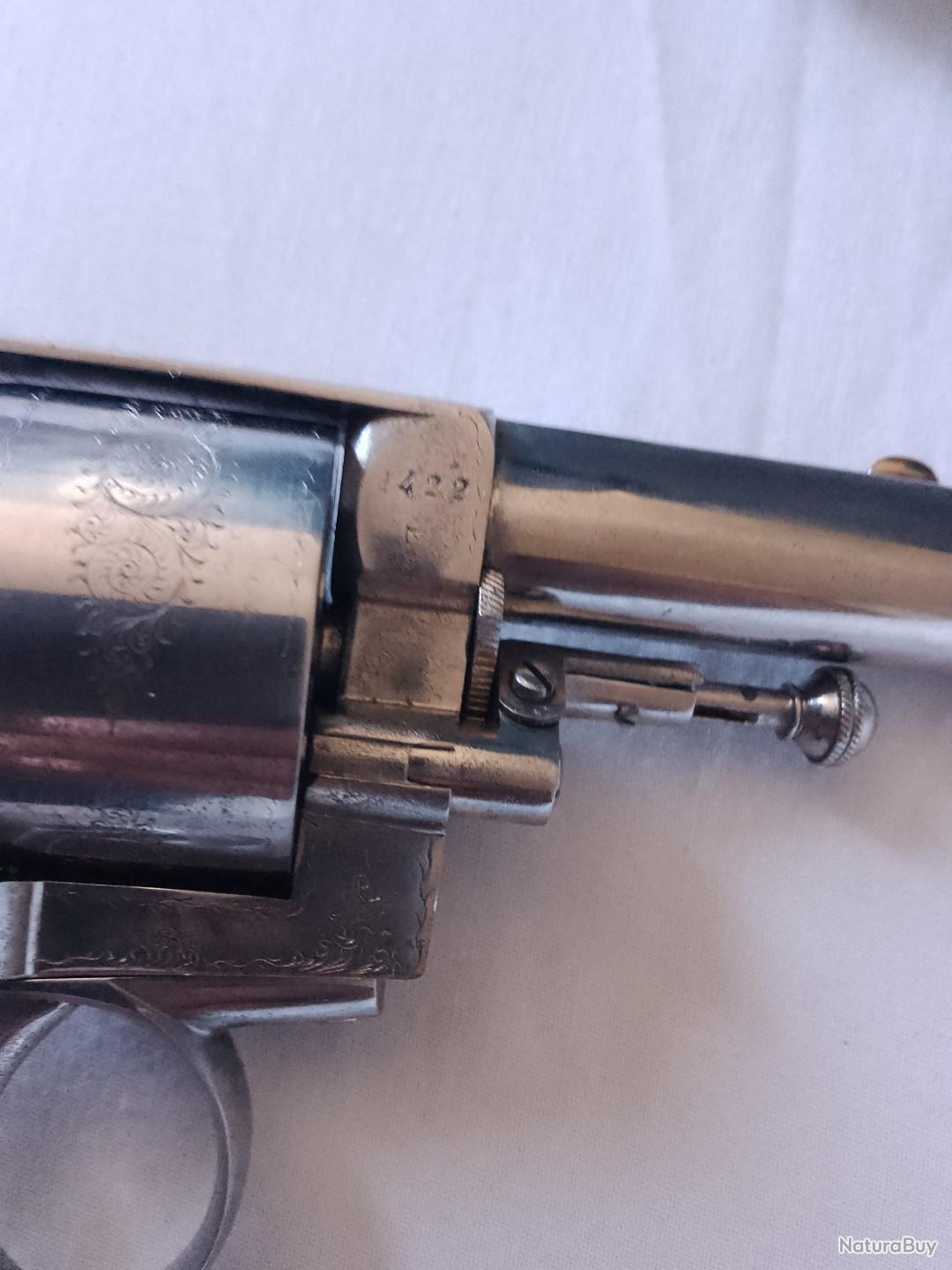 Revolver bulldog - Revolvers bulldog et velodog (13555133)