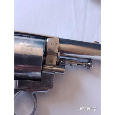 Revolver bulldog - Revolvers bulldog et velodog (13555133)