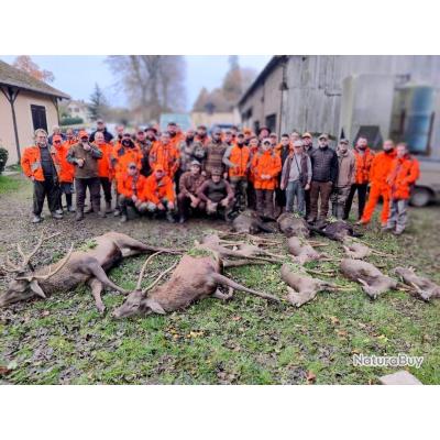 Chasse battue du Lundi grand gibier Forêt domaniale Essonne limite 78 ...
