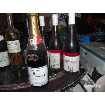 LOT DE 10 BOUTEILLES DE VIN DIVERS - Rosé (13689093)