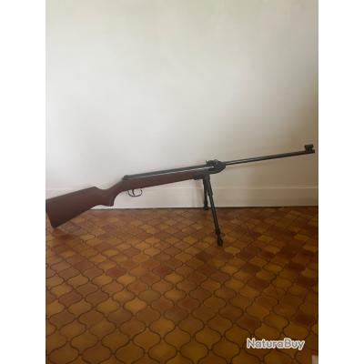 Carabine diana model 24 - Carabines à plomb moins de 20 joules (13717265)