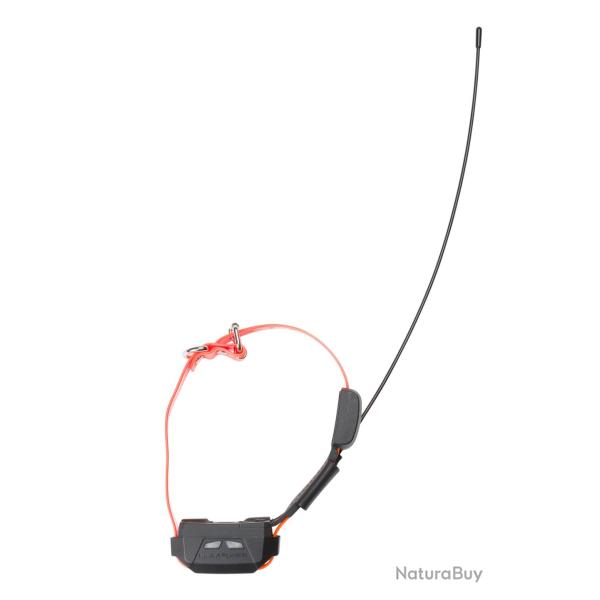 Ensemble de localisation Canicom GPS MINI avec stimulation - NUM'AXES ...
