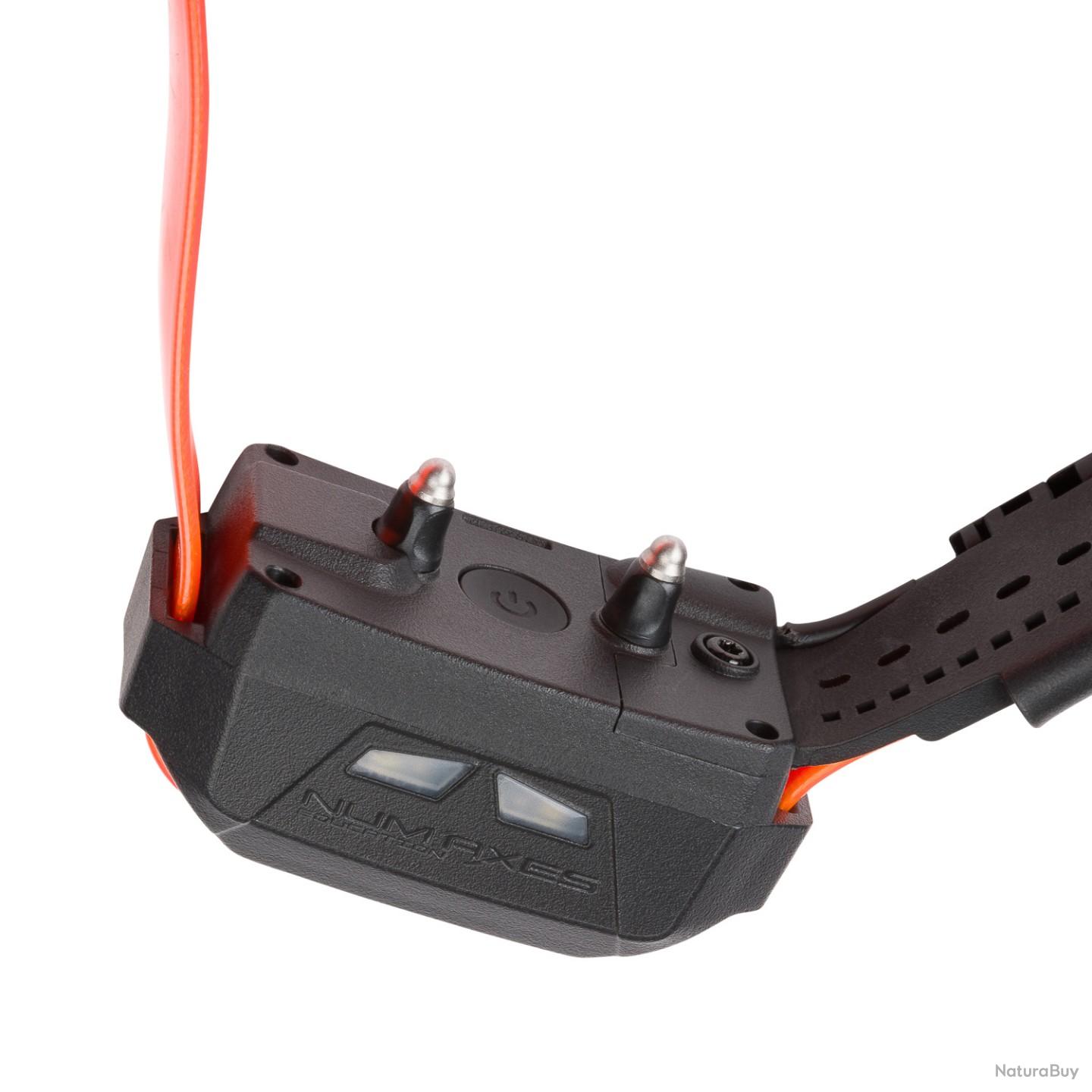 Collier de localisation CANICOM GPS MINI avec stimulation - Colliers ...