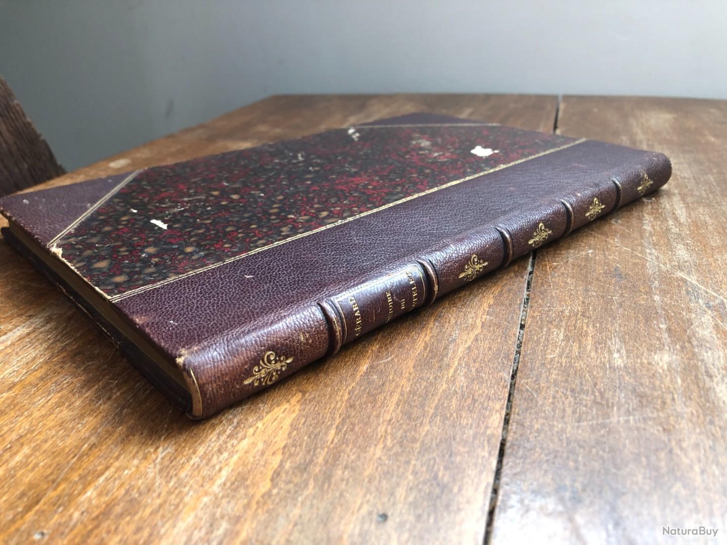 Histoire du Châtelet et du parlement de Paris, Constantin Gérard - 1847 ...