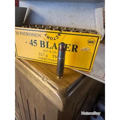 45 blaser - Balles autres calibres (13946050)
