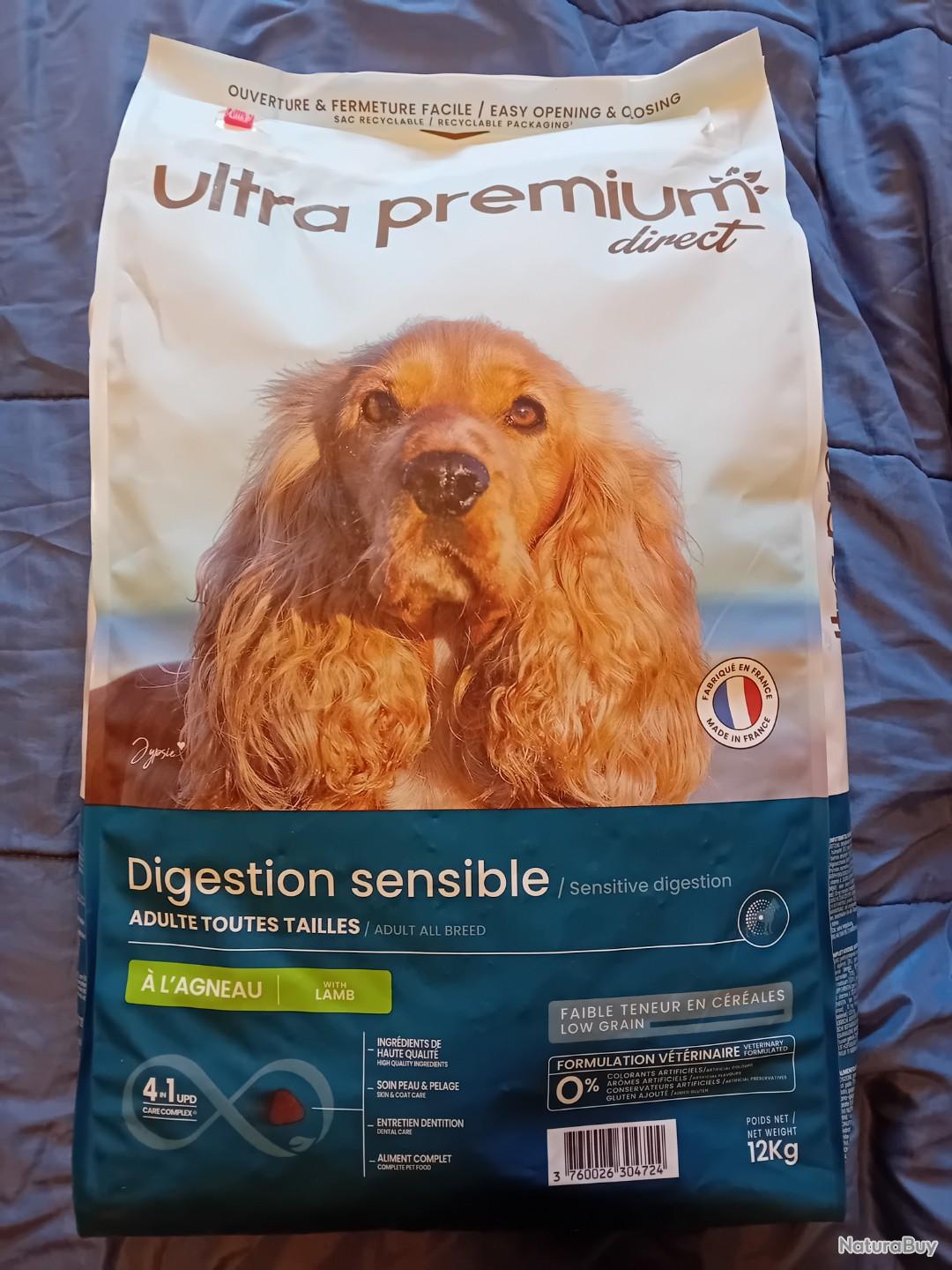 Croquette chien - Alimentation chiens (13955738)