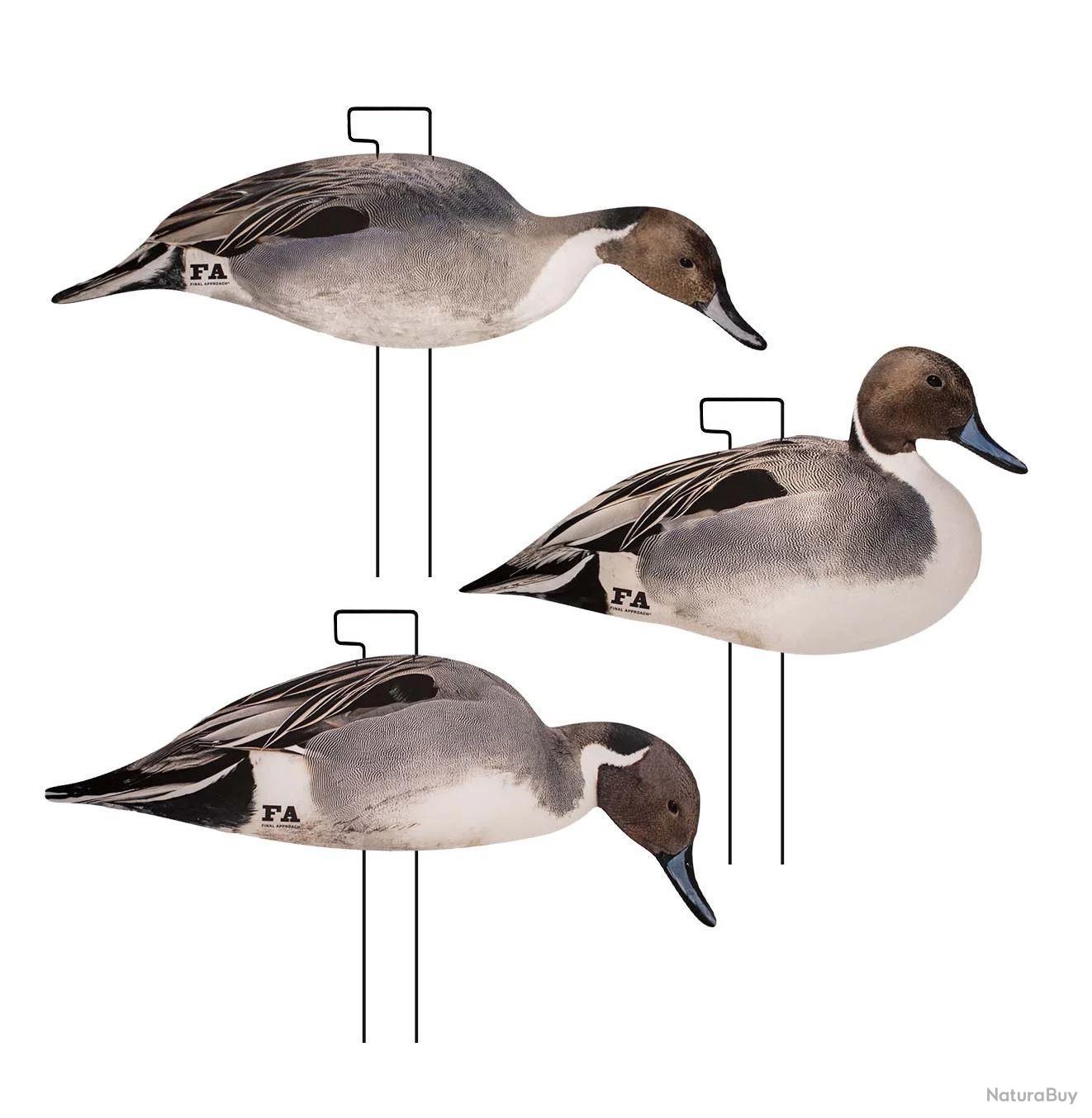 Final Approach Last Pass - Silhouettes Canard Pilet - Lot de 12 ...